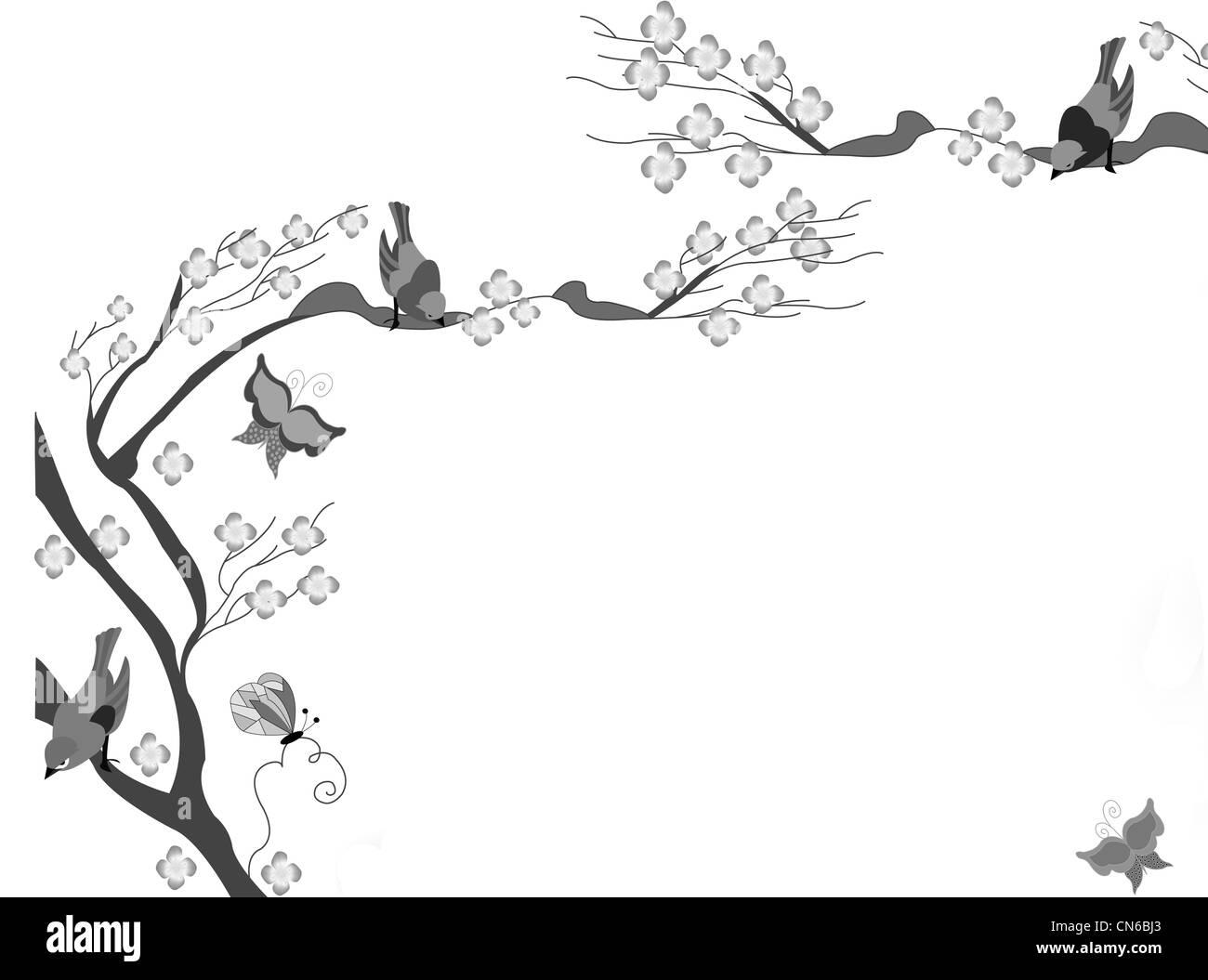 Spring tour Black and White Stock Photos & Images - Alamy