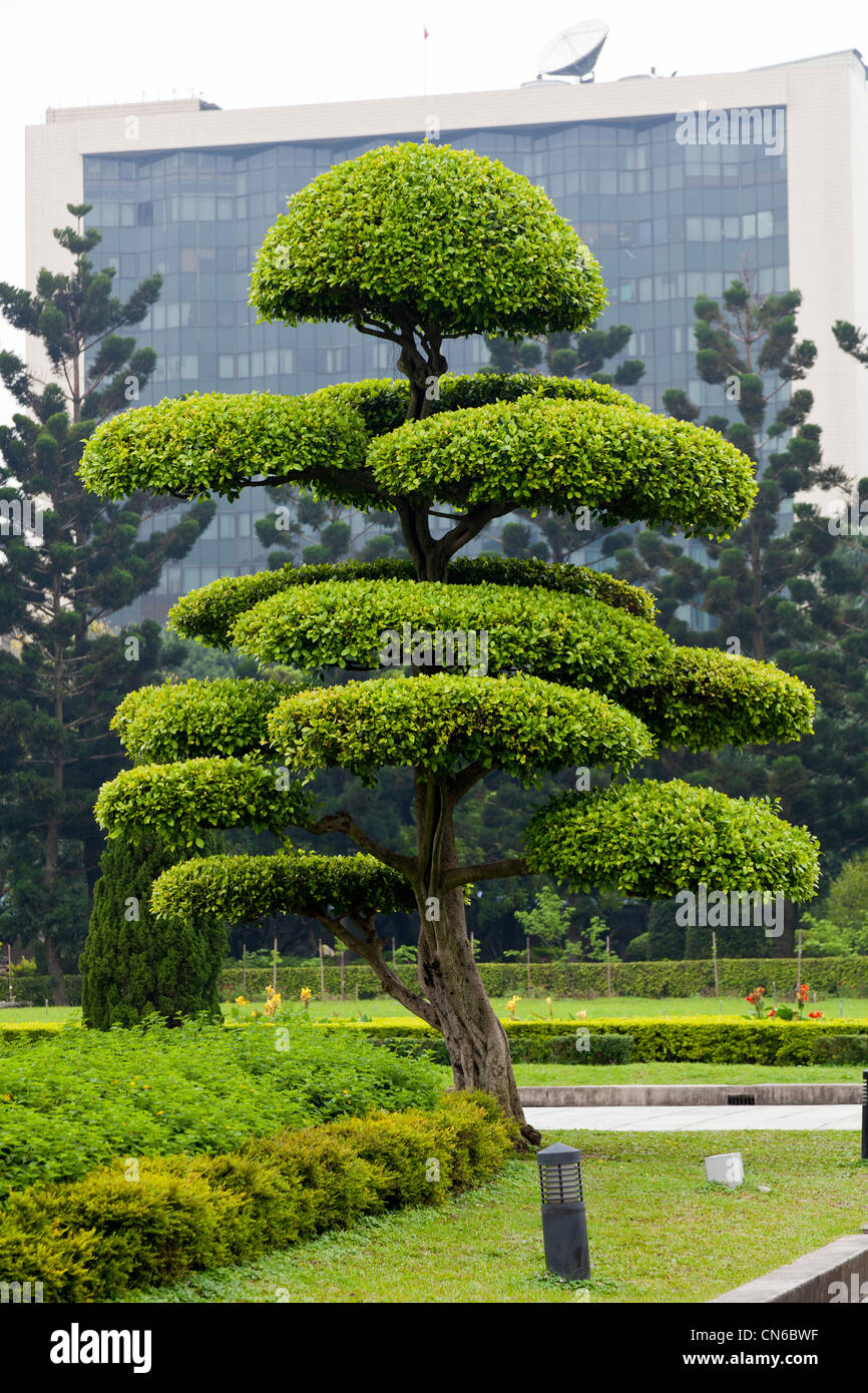 Ornamental tree in Memorial Hall Square, Chiang Kai-shek Memorial Hall ...