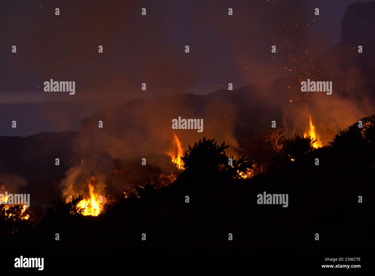 Heather gorse fire at night, Skye Stock Photo - Alamy