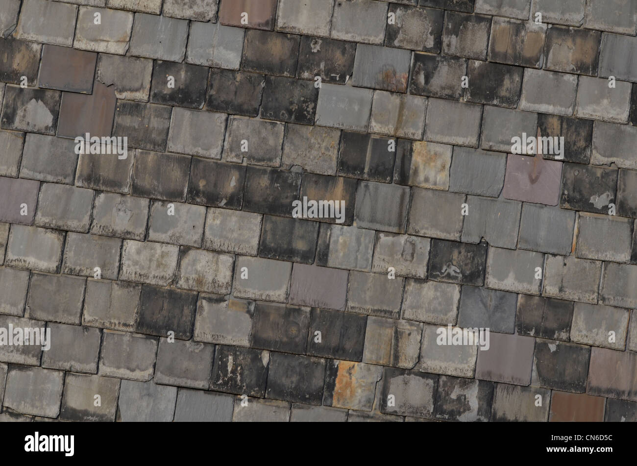 Detail of slate roof on Cornish building Stock Photo - Alamy