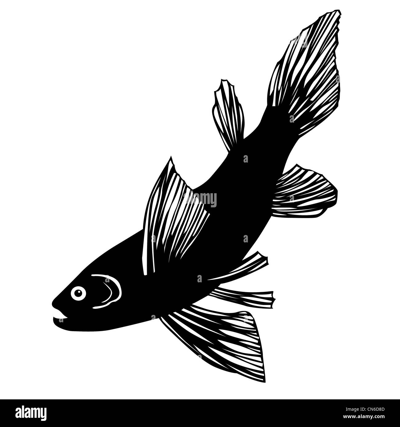 silhouette of fish on white background Stock Photo - Alamy