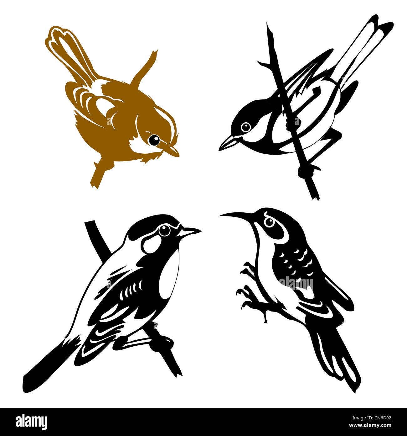 vector set of the birds on white background Stock Photo - Alamy