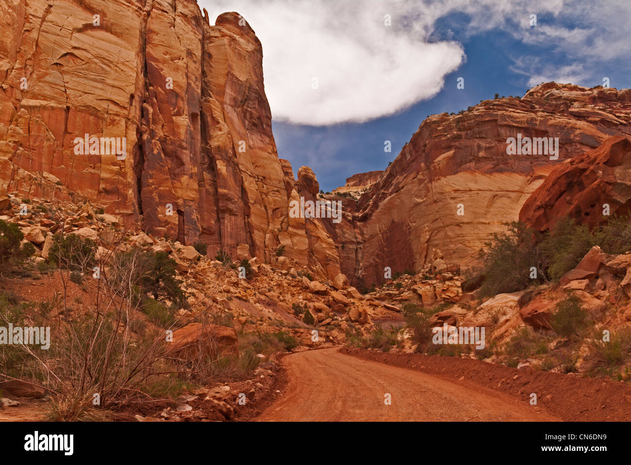 CAPITOL GORGE, CAPITOL REEF NATIONAL PARK, UTAH, USA Stock Photo - Alamy