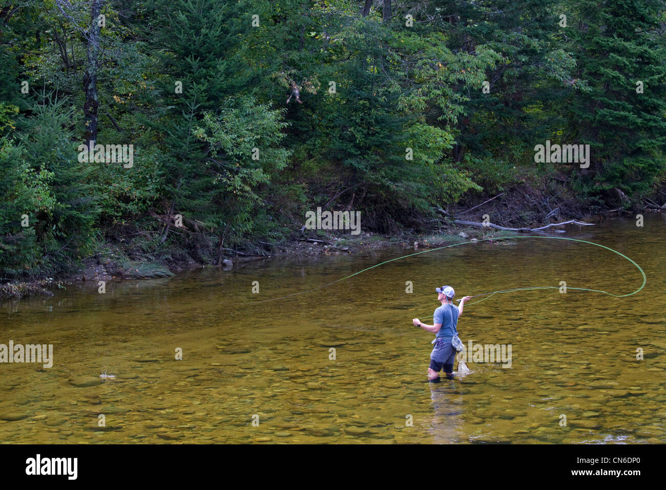 One fly fisherman, fly fisher, casting in stream, Maine Stock Photo - Alamy
