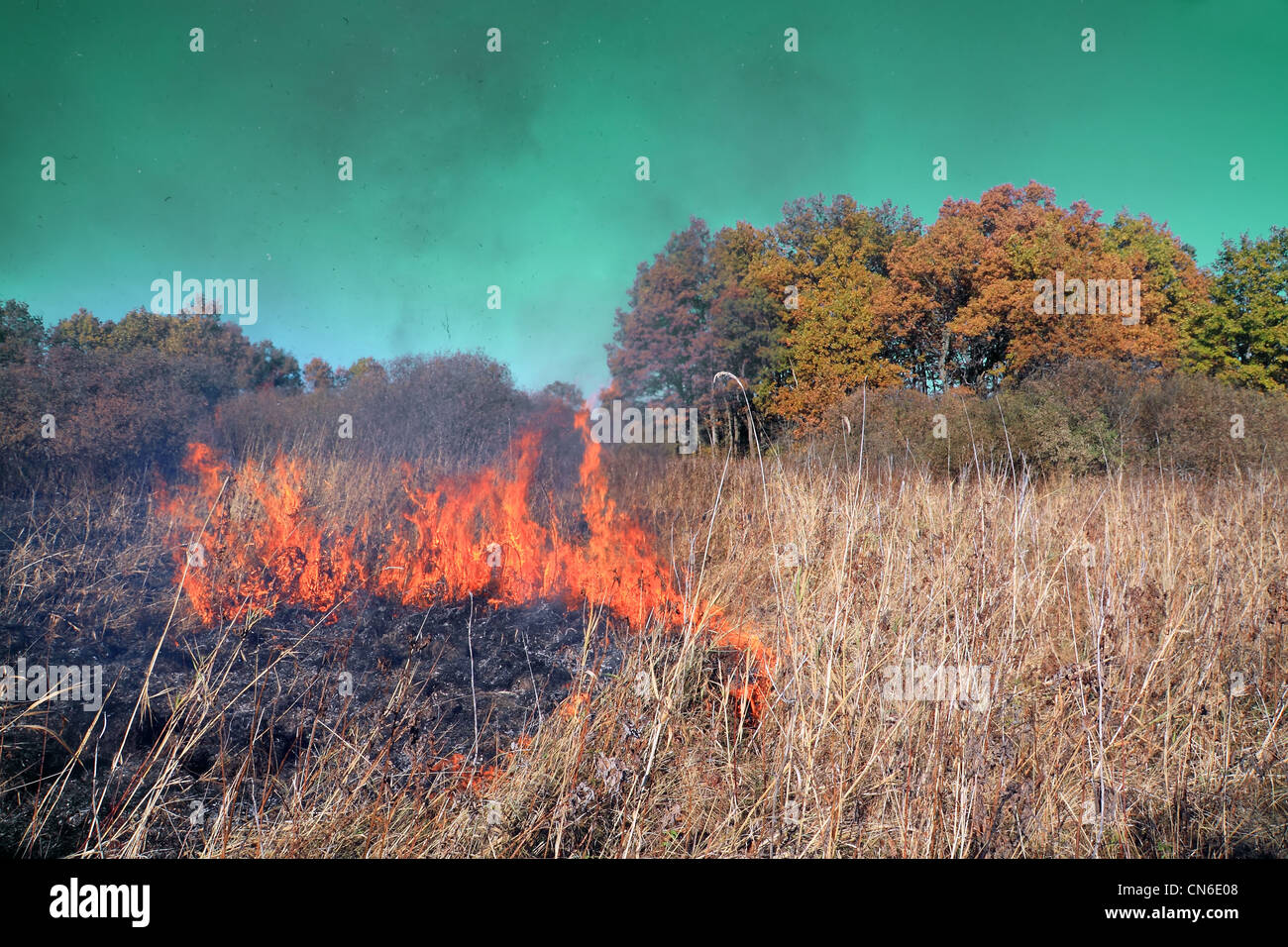 fire in dry herb Stock Photo - Alamy