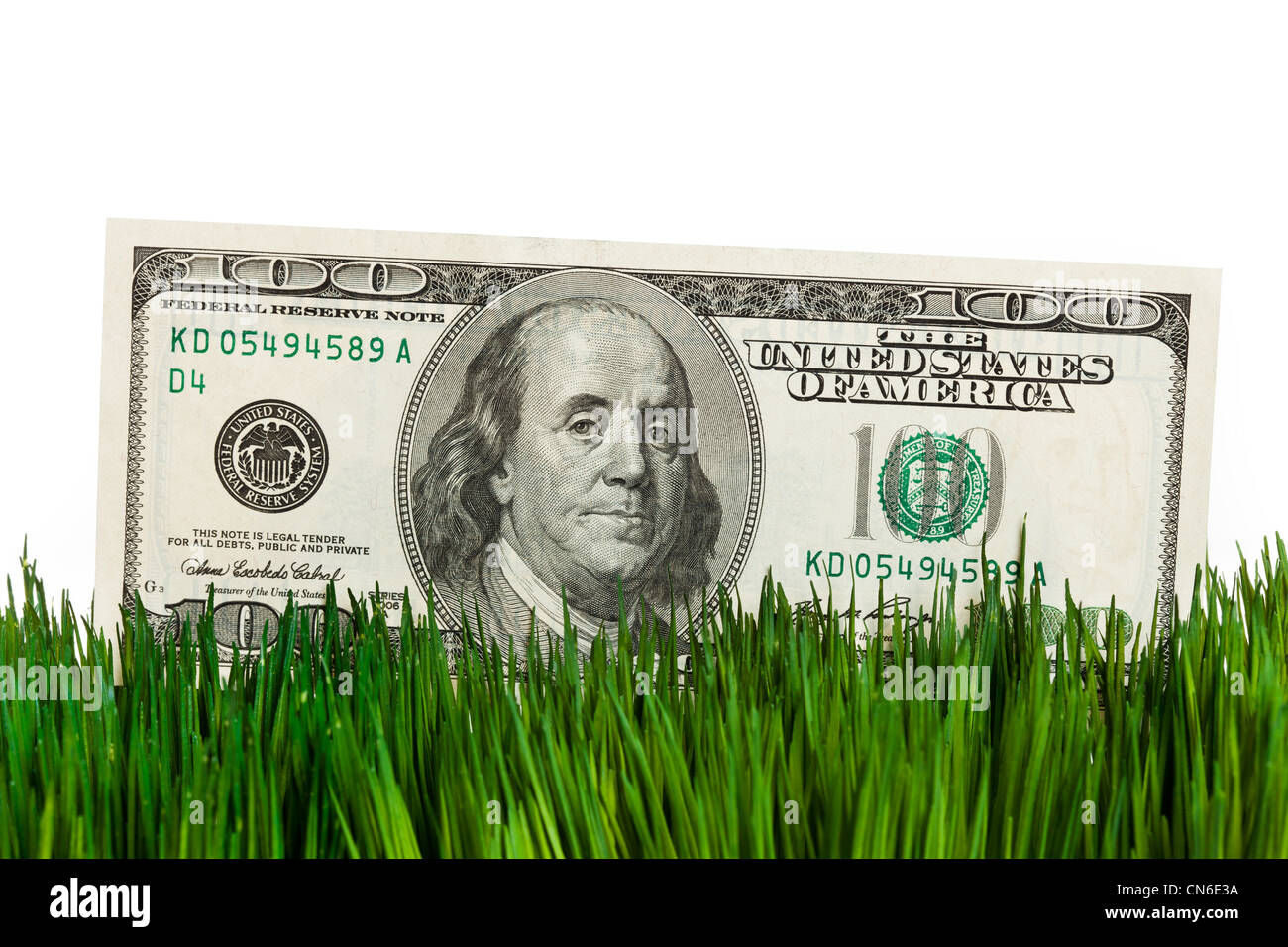 Dollar and Green Grass close up Stock Photo - Alamy