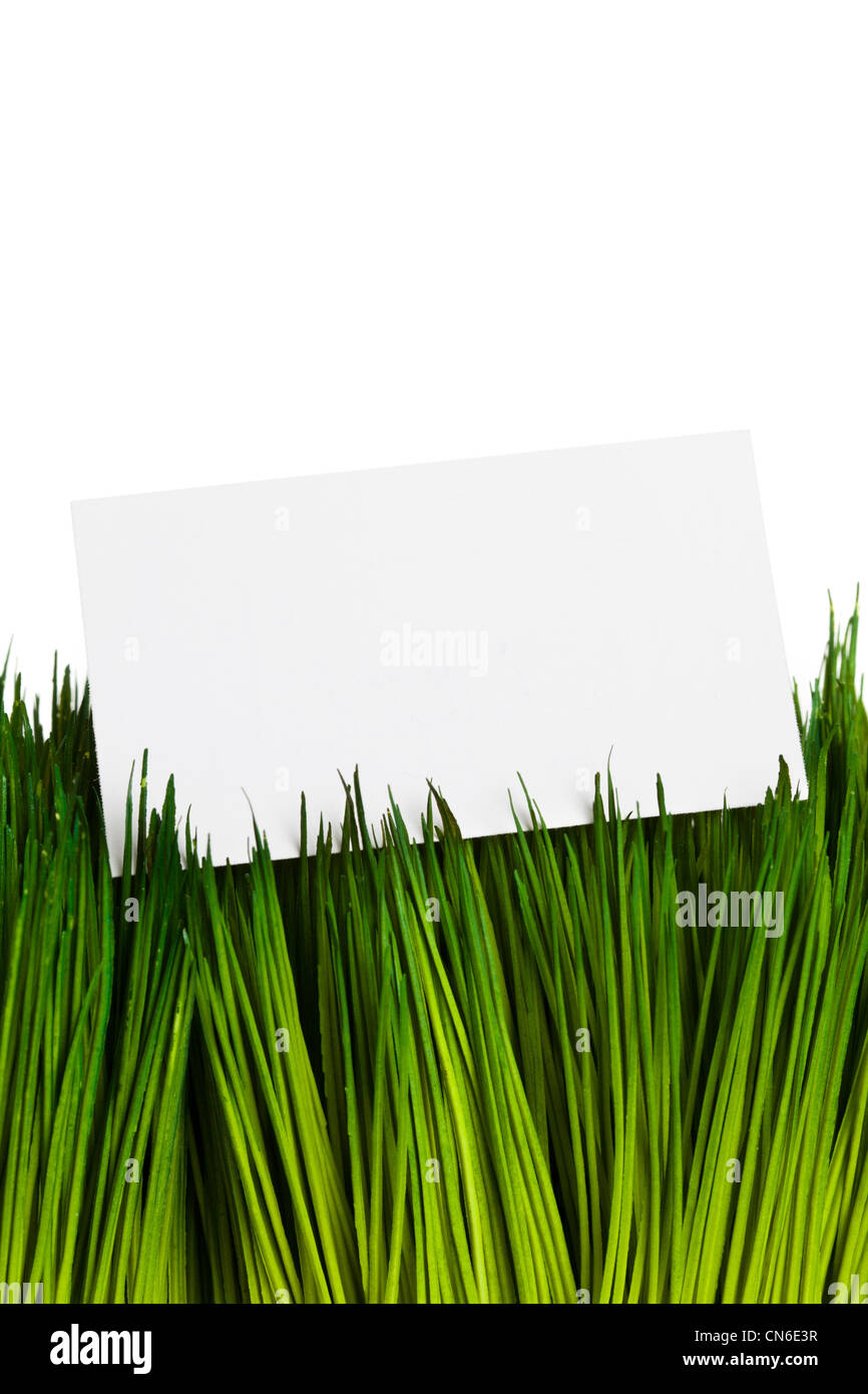 Business Card and green grass close up Stock Photo - Alamy