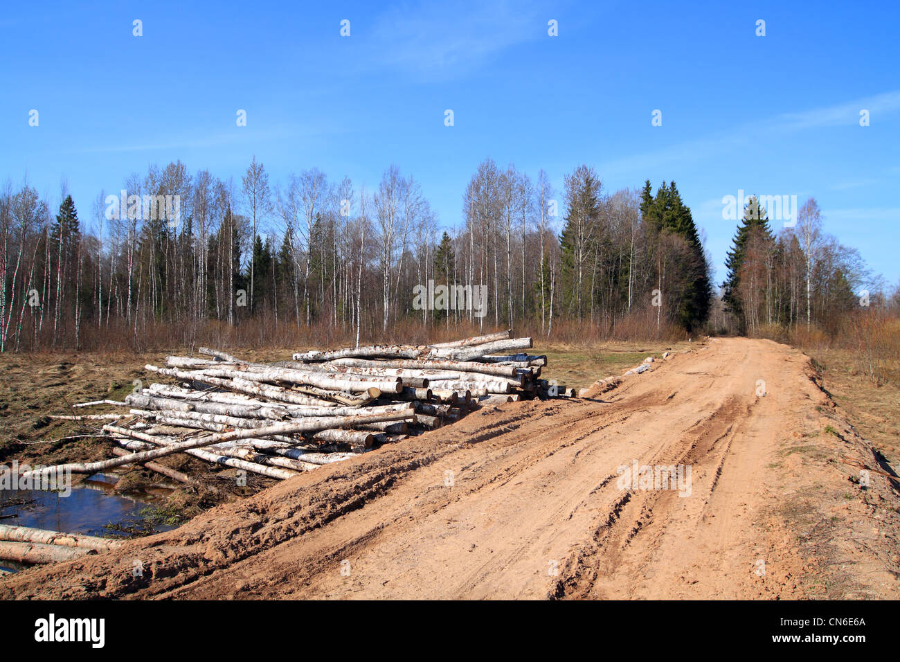 birch log near rural road Stock Photo - Alamy