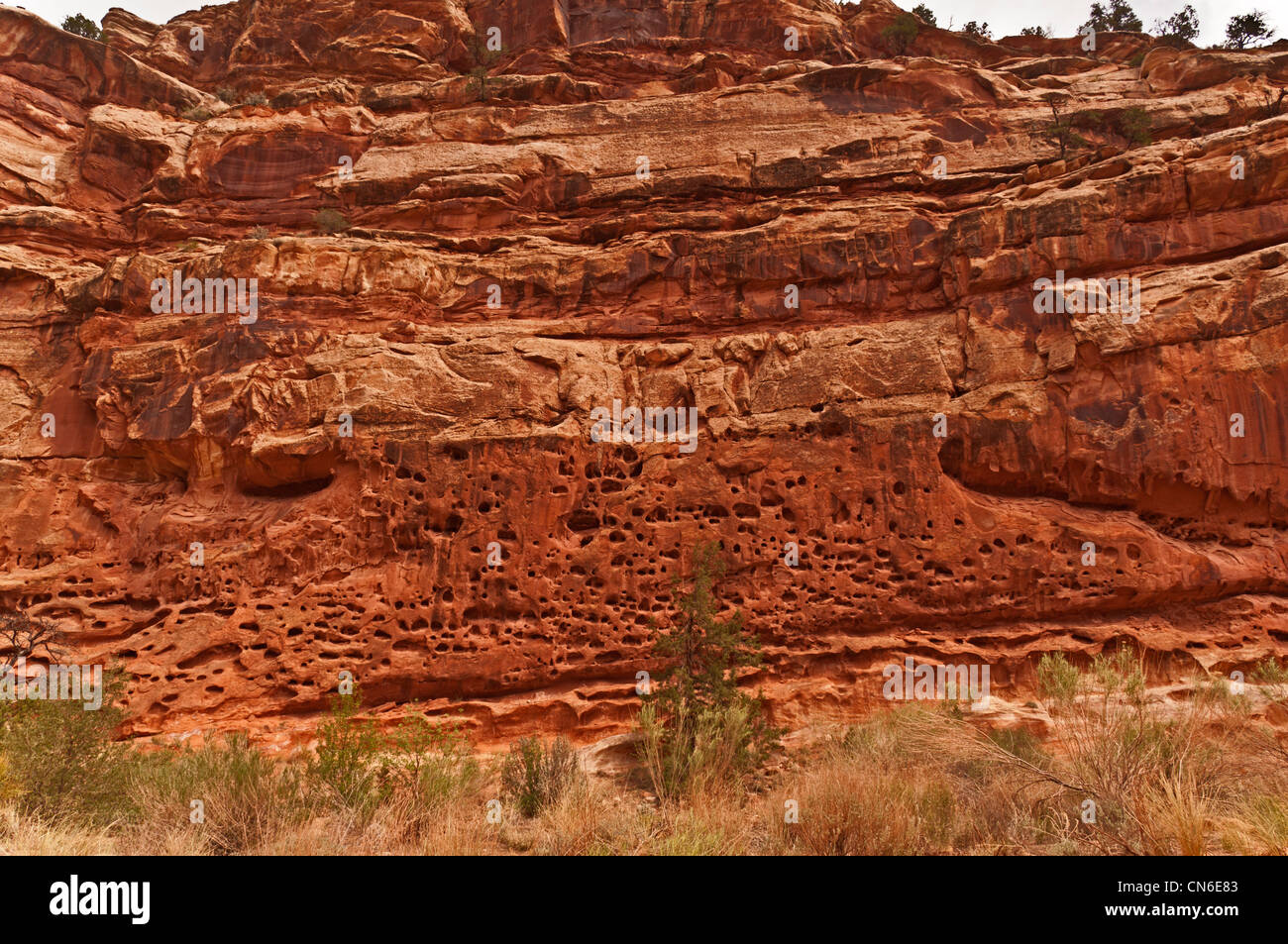 CAPITOL GORGE, CAPITOL REEF NATIONAL PARK, UTAH, USA Stock Photo - Alamy