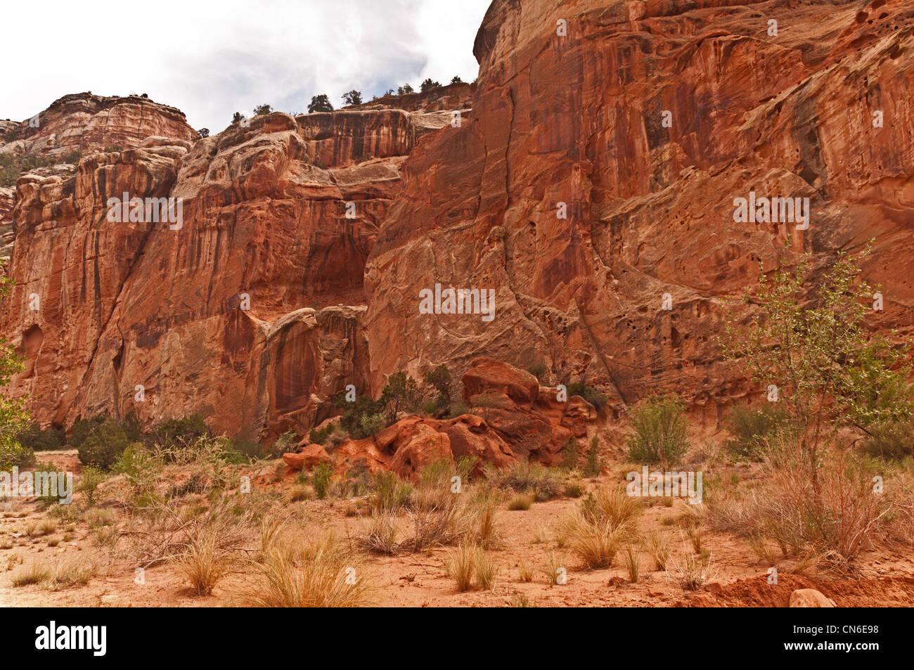 CAPITOL GORGE, CAPITOL REEF NATIONAL PARK, UTAH, USA Stock Photo - Alamy
