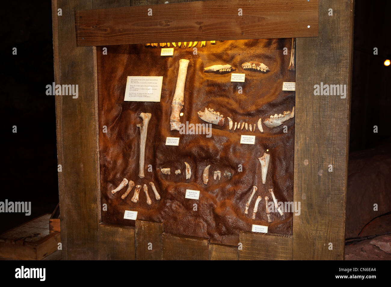 Devon caves hi-res stock photography and images - Alamy