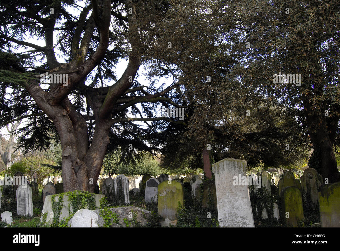 Old Brompton Cemetery Stock Photo - Alamy