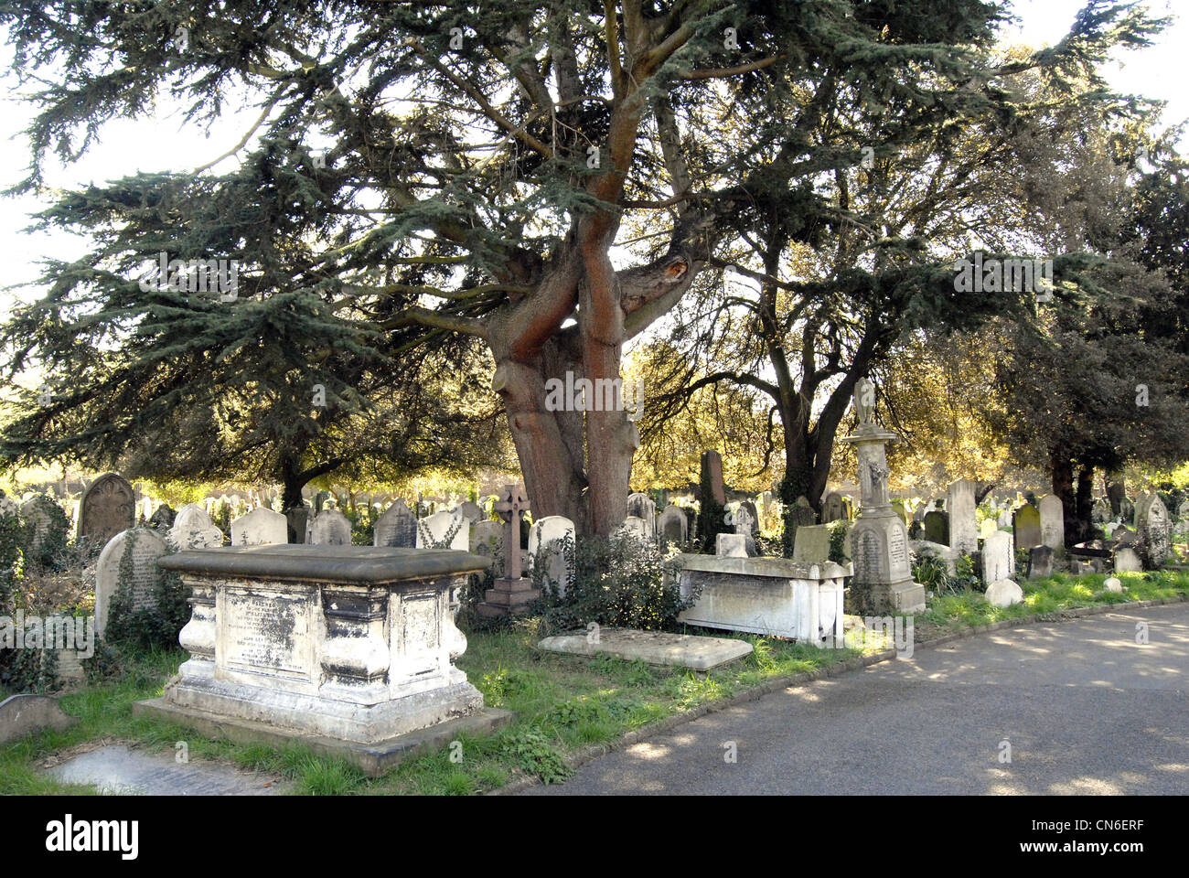 Brompton cemetery catacombs hi-res stock photography and images - Alamy