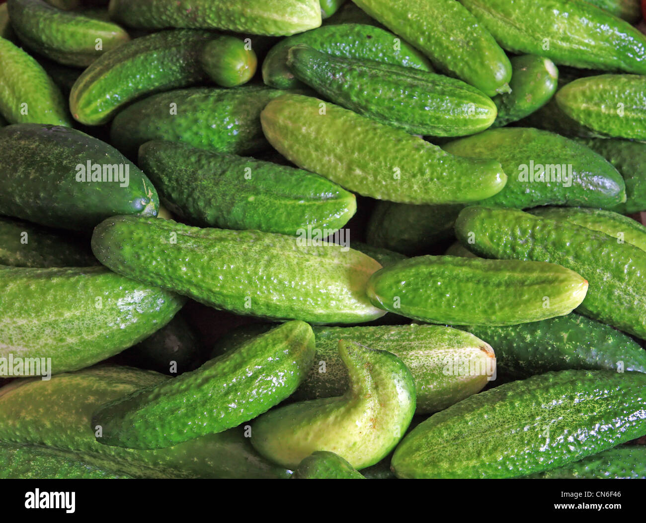 Cucumber backgrounds hi-res stock photography and images - Alamy