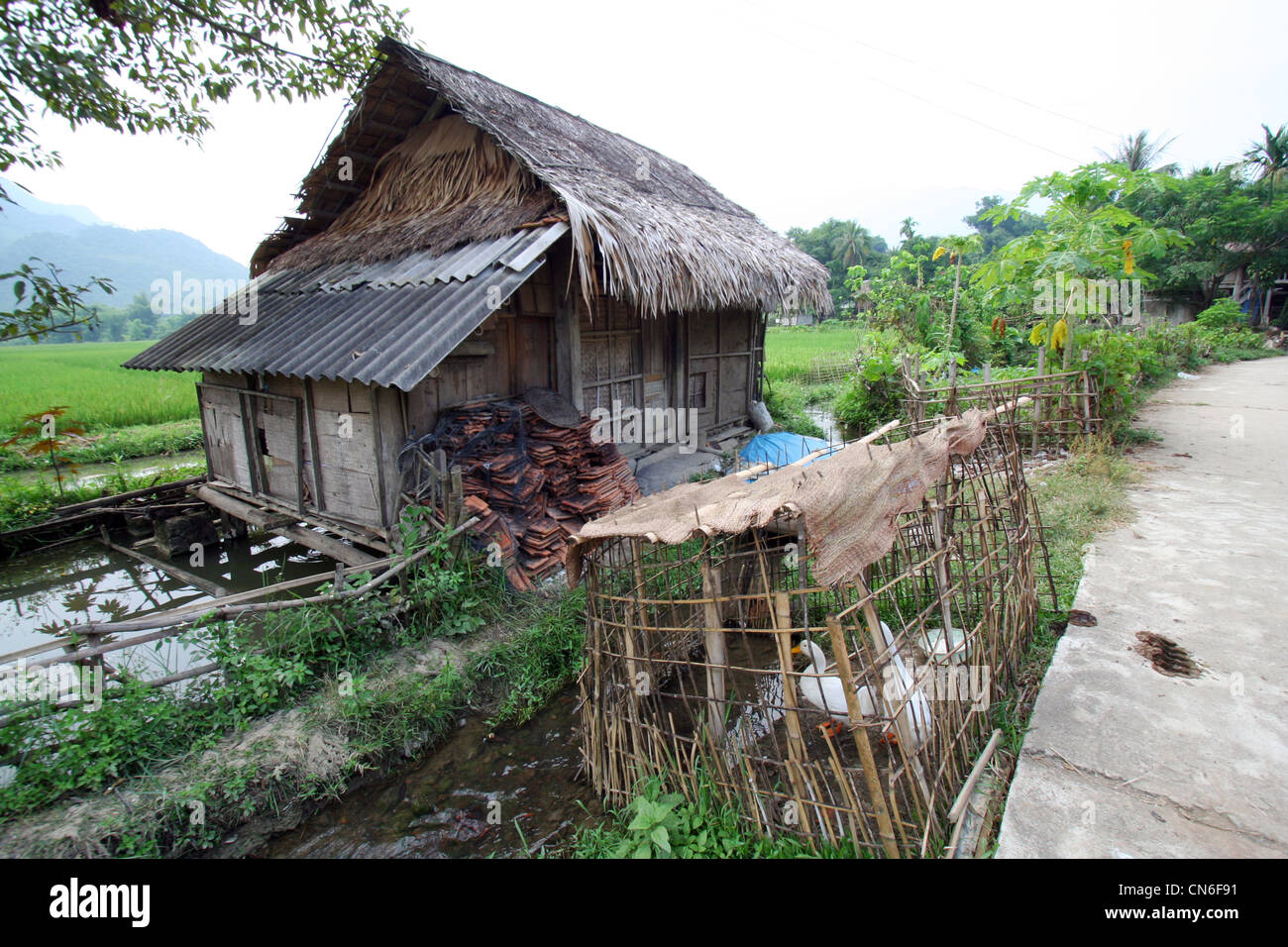 Little farm shed and goose in Mai Chau. Vietnam Stock Photo - Alamy