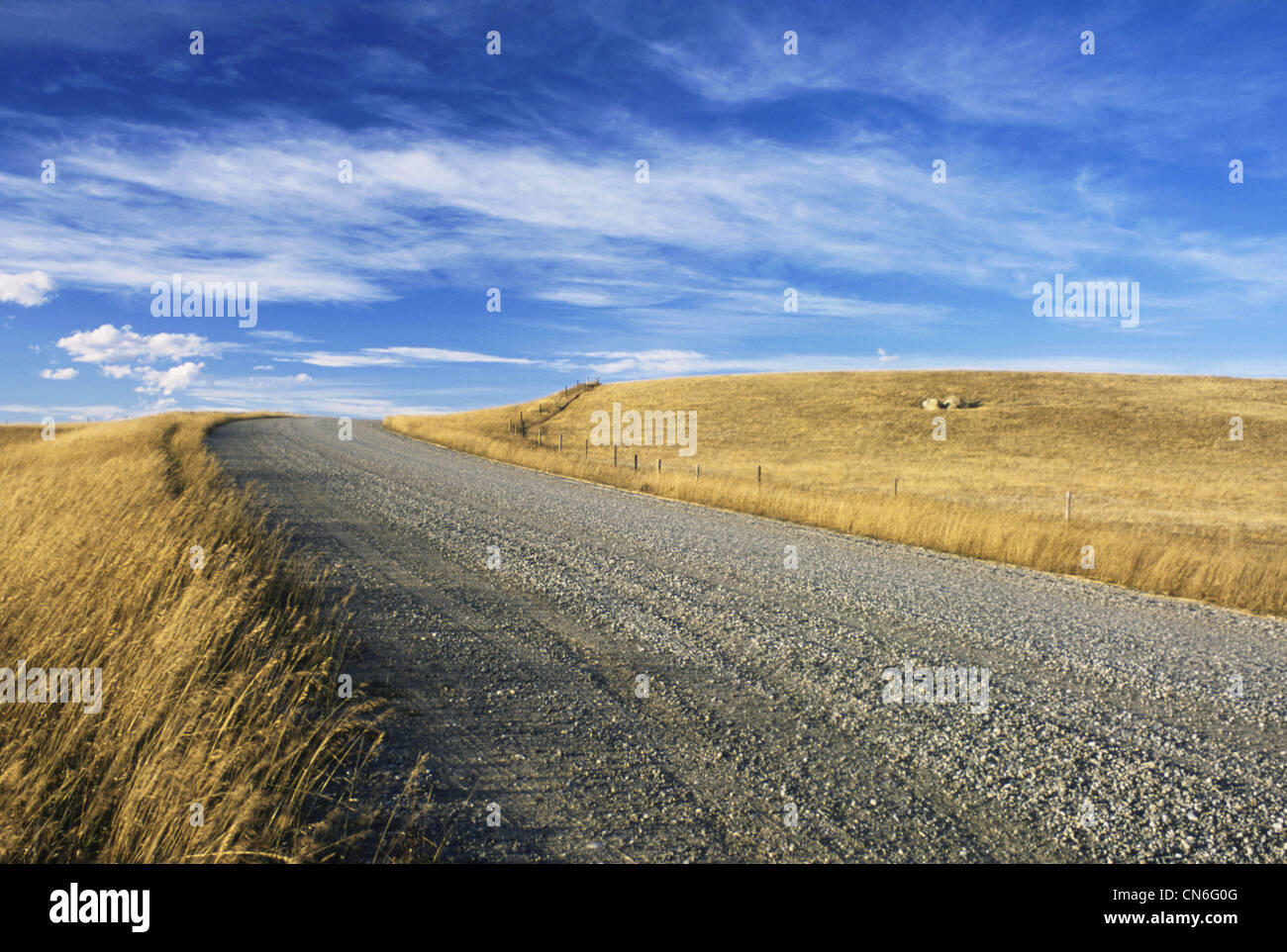 Rural Road, Pincher Creek, Alberta Stock Photo - Alamy