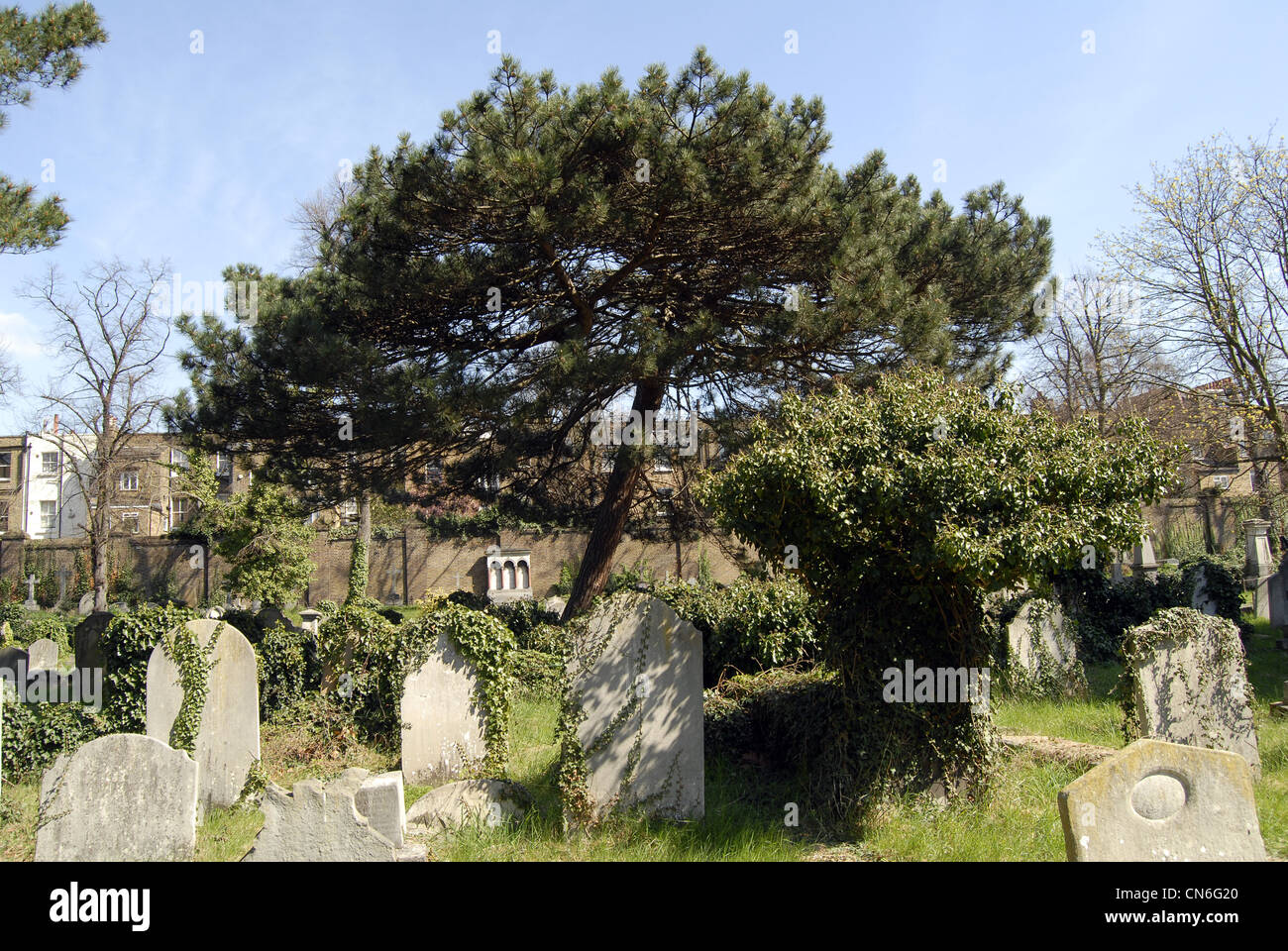Brompton cemetery catacombs hi-res stock photography and images - Alamy