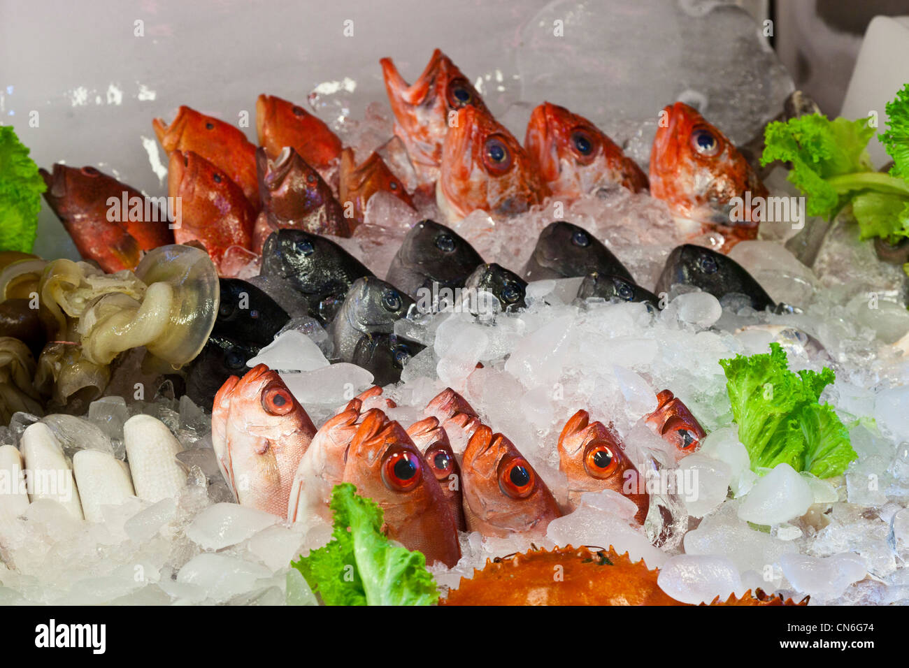 Fish on sale on seafood stall in Keelung (Jilong) Temple Plaza Night ...