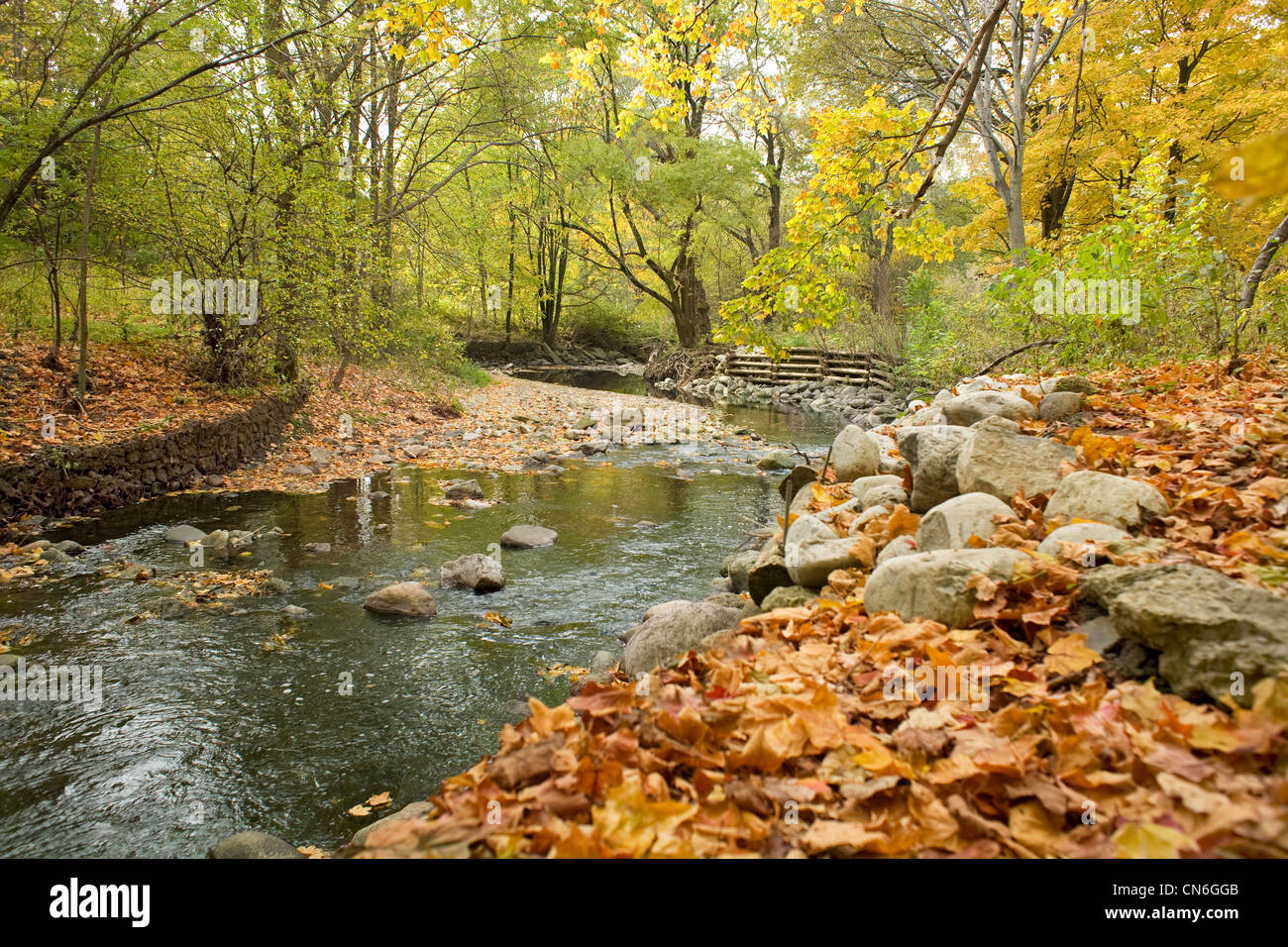 Yellow creek toronto hi-res stock photography and images - Alamy