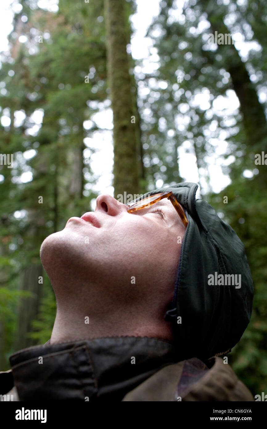 Man Looking Up at Trees, Cathedral Grove, MacMillan Provincial Park ...