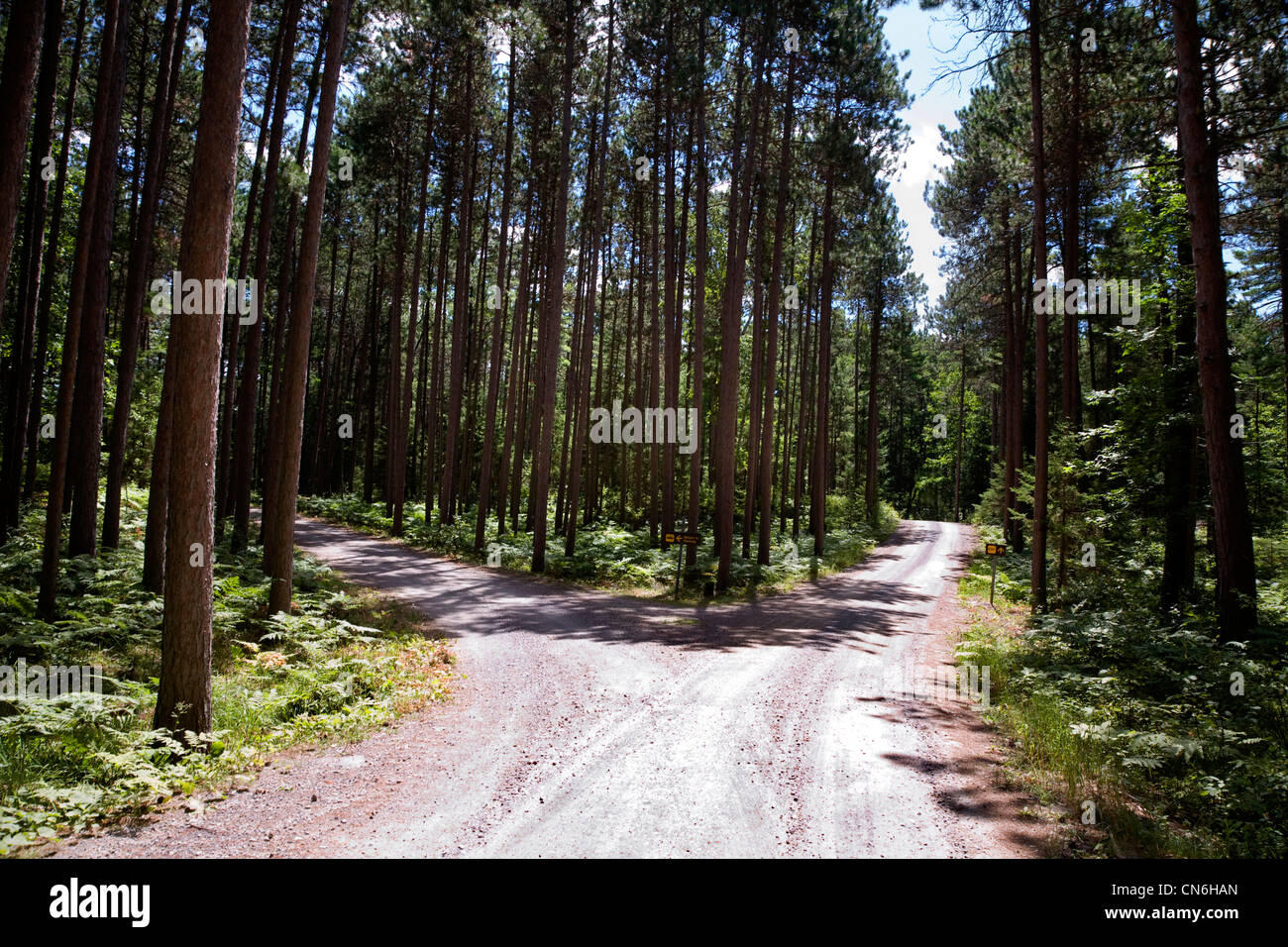 Fork in the path hi-res stock photography and images - Alamy