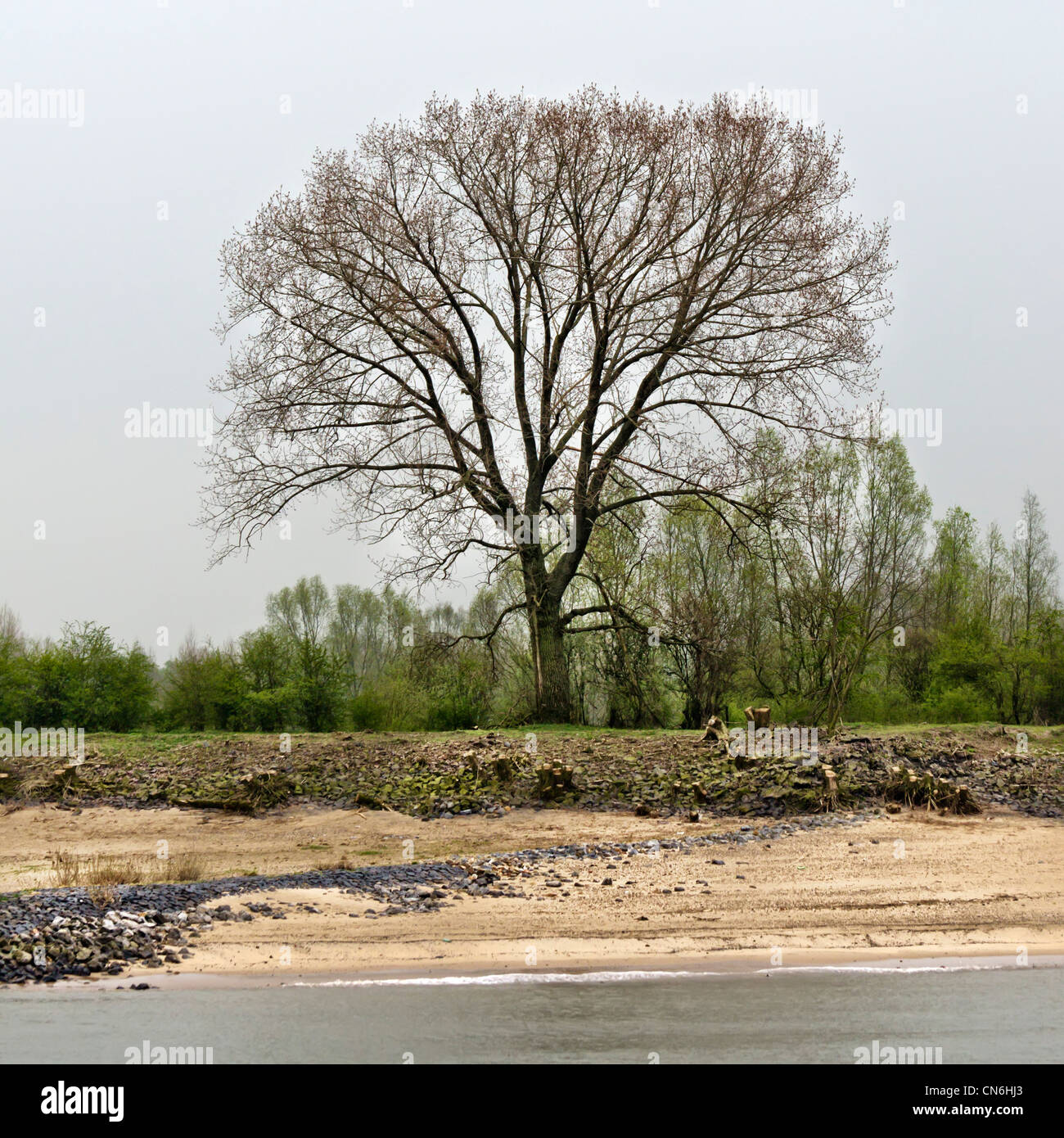 Rhein bank hi-res stock photography and images - Alamy