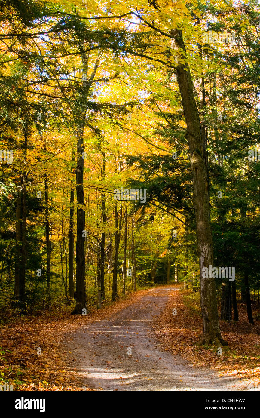 Rural Road in Autumn, Bradford, Ontario Stock Photo - Alamy