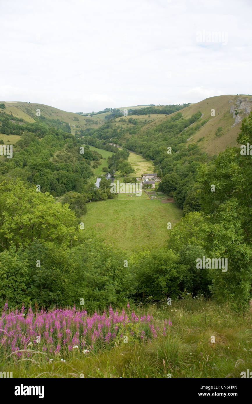 Upperdale from Monsal Head in the Peak District in Derbyshire Stock ...