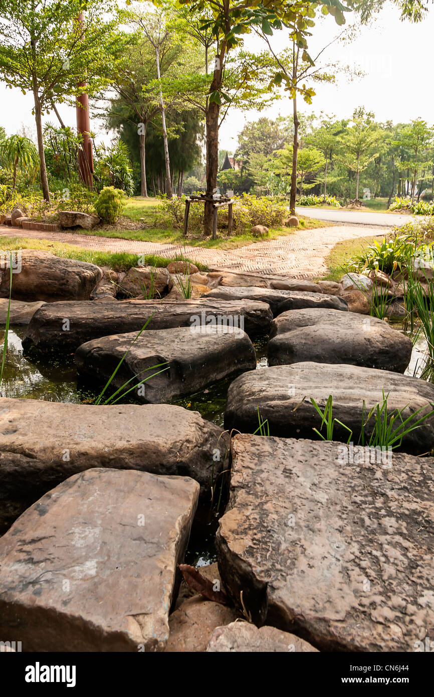 Better vegetation hi-res stock photography and images - Alamy