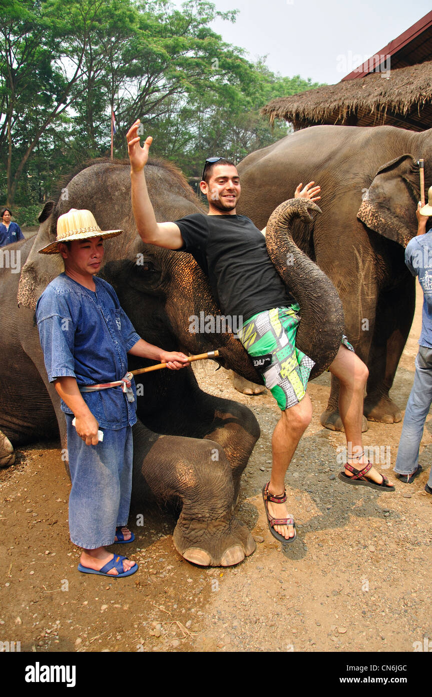 Man sitting on trunk of elephant at The Elephant Show, Maetaman ...