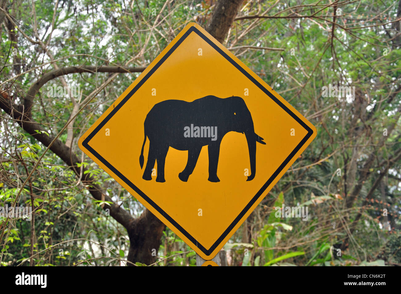 Elephant traffic sign near Maetaman Elephant Camp, near Chiang Mai ...