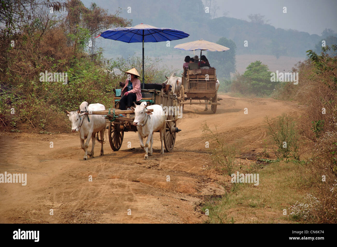 Elephant cart hi-res stock photography and images - Alamy