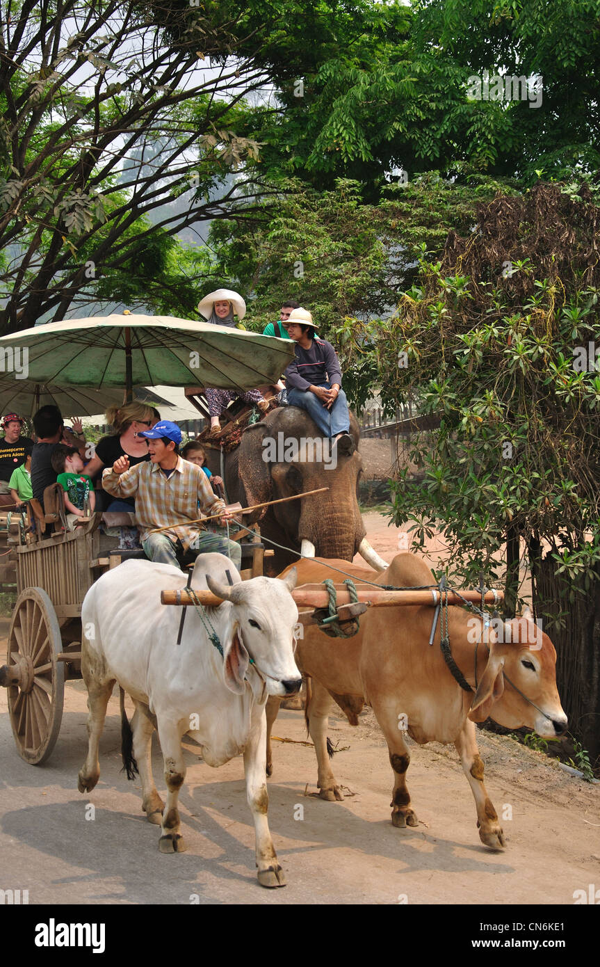 Ox cart ride hi-res stock photography and images - Alamy