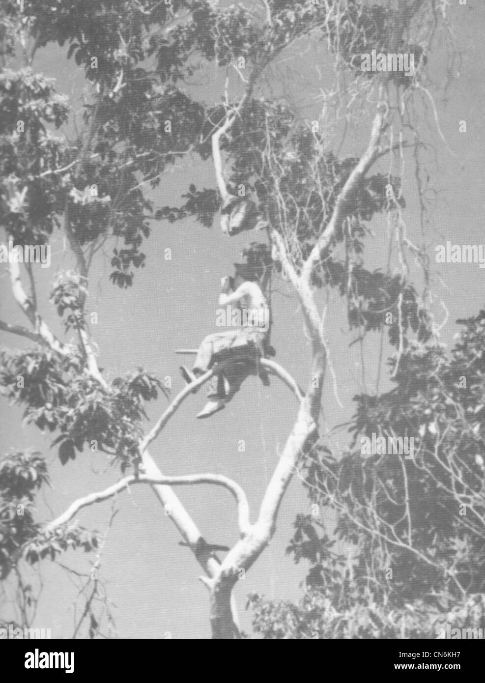 Koli point guadalcanal hi-res stock photography and images - Alamy