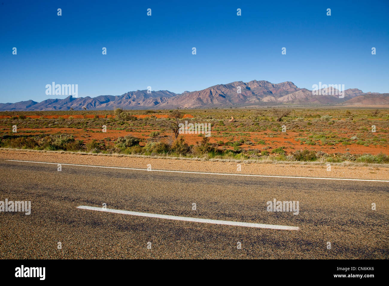 Flinders ranges and outback hi-res stock photography and images - Alamy