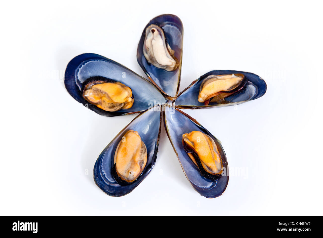 Pattern in star shape Cut Out Stock Images & Pictures - Alamy