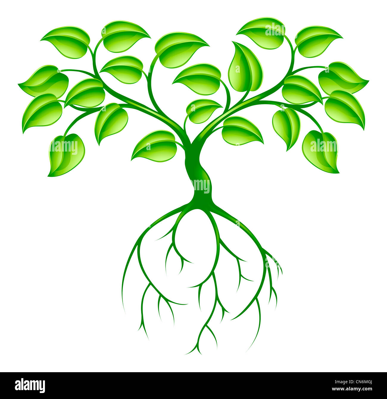 Green tree graphic design concept with long roots Stock Photo - Alamy