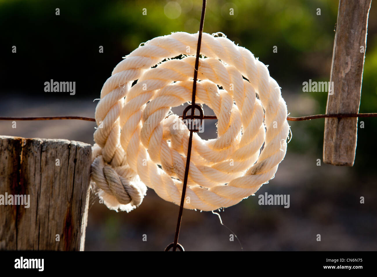 Rope coiled on a fence Stock Photo - Alamy