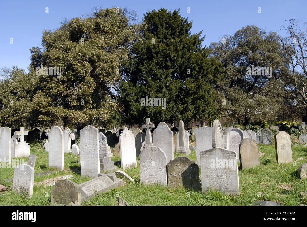 Old Brompton Cemetery Stock Photo - Alamy