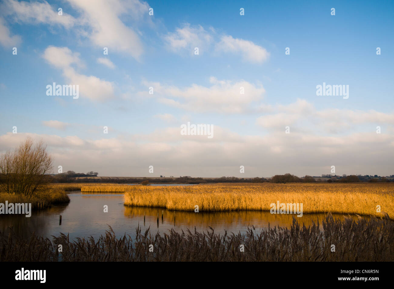 Stodmarsh kent wildlife hi-res stock photography and images - Alamy