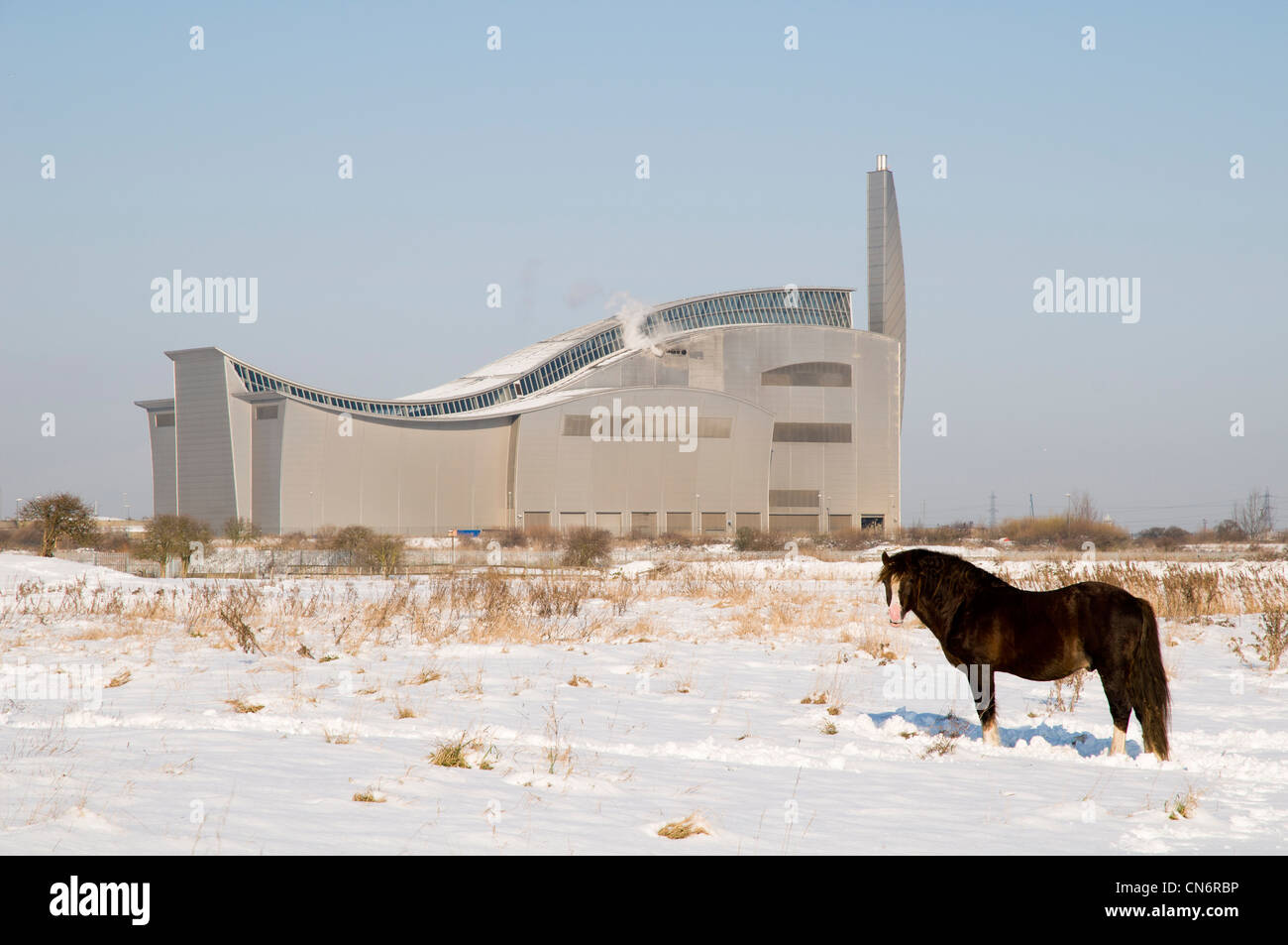 A horse standing in the snow in front of the Thames Water sewage sludge ...