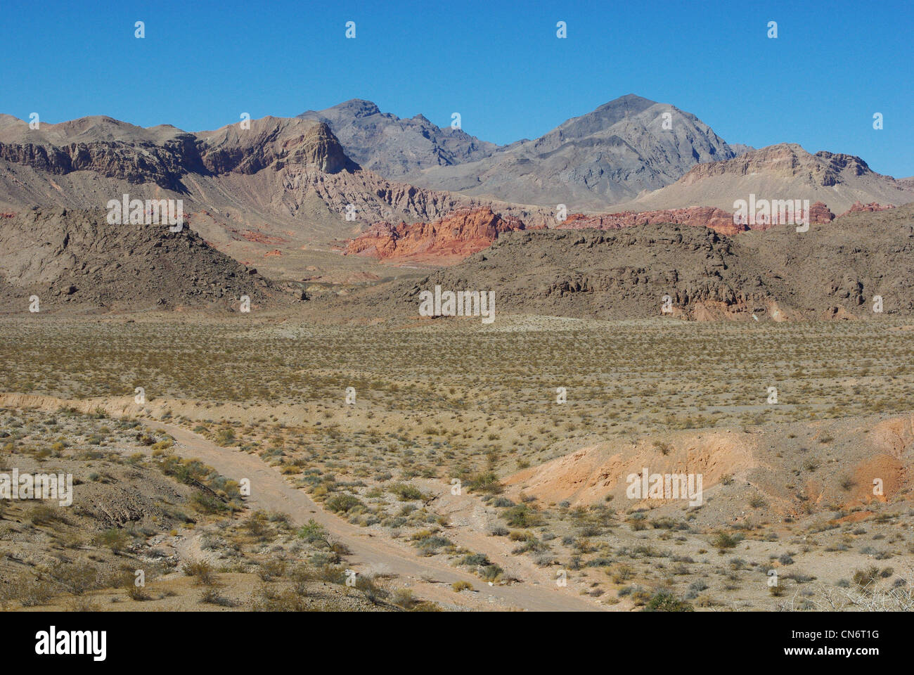 Colours of Nevada desert Stock Photo - Alamy