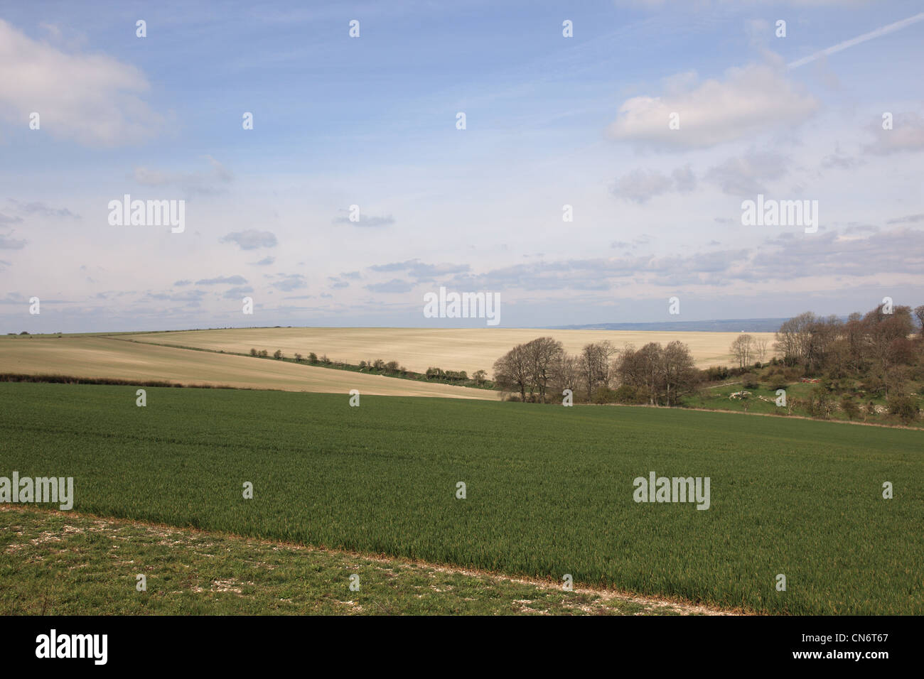 Bratton hi-res stock photography and images - Alamy