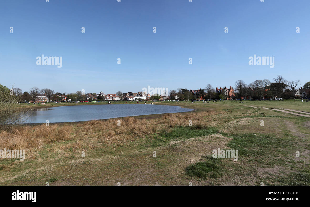 Rushmere pond wimbledon common hi-res stock photography and images - Alamy