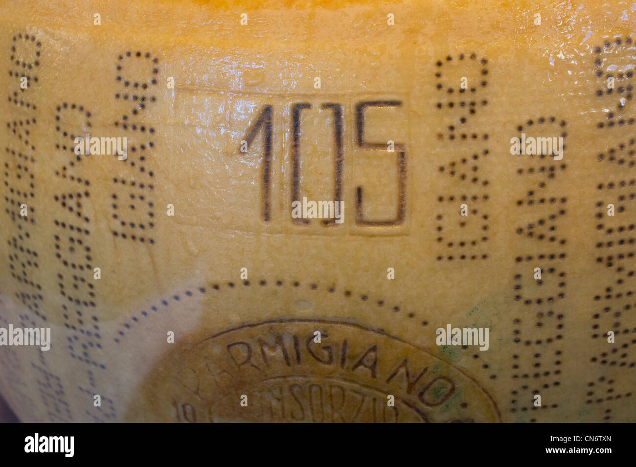Detail of Parmesan wheel, Parmigiano-Reggiano Stock Photo - Alamy