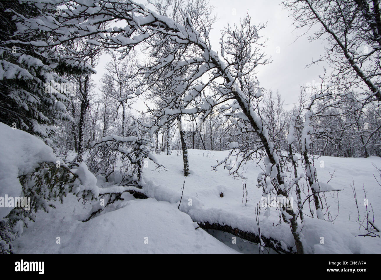 Snow drifts tracks in hi-res stock photography and images - Alamy
