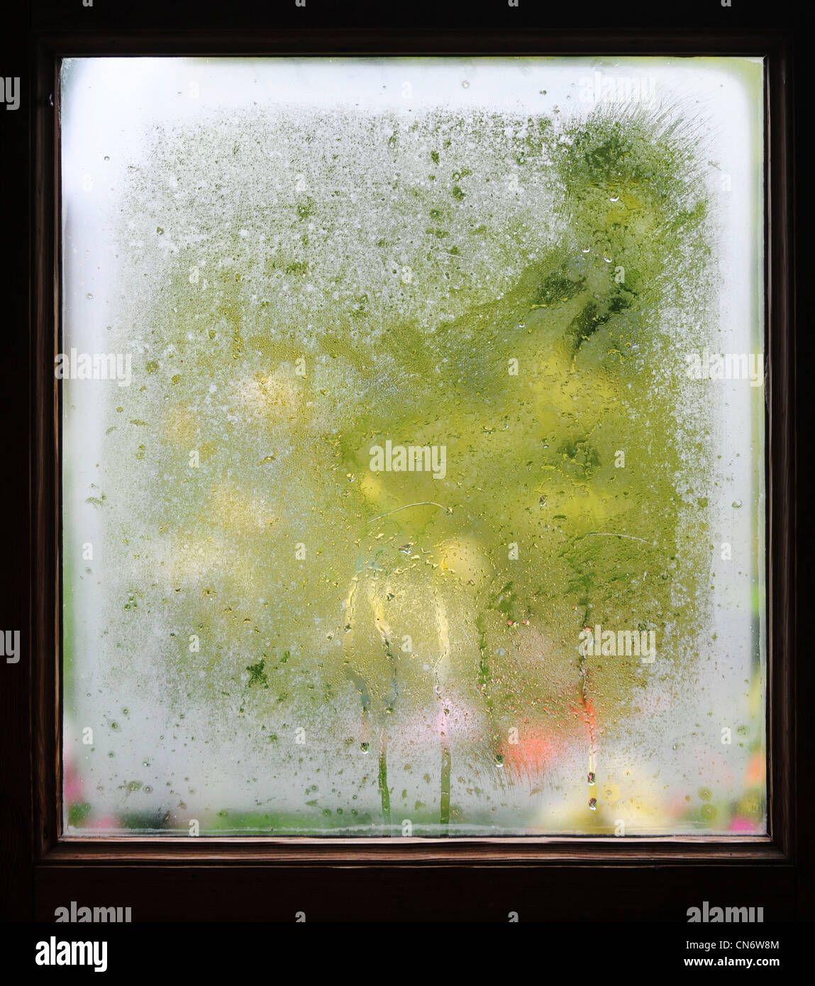 Window pane with steam and rain hi-res stock photography and images - Alamy