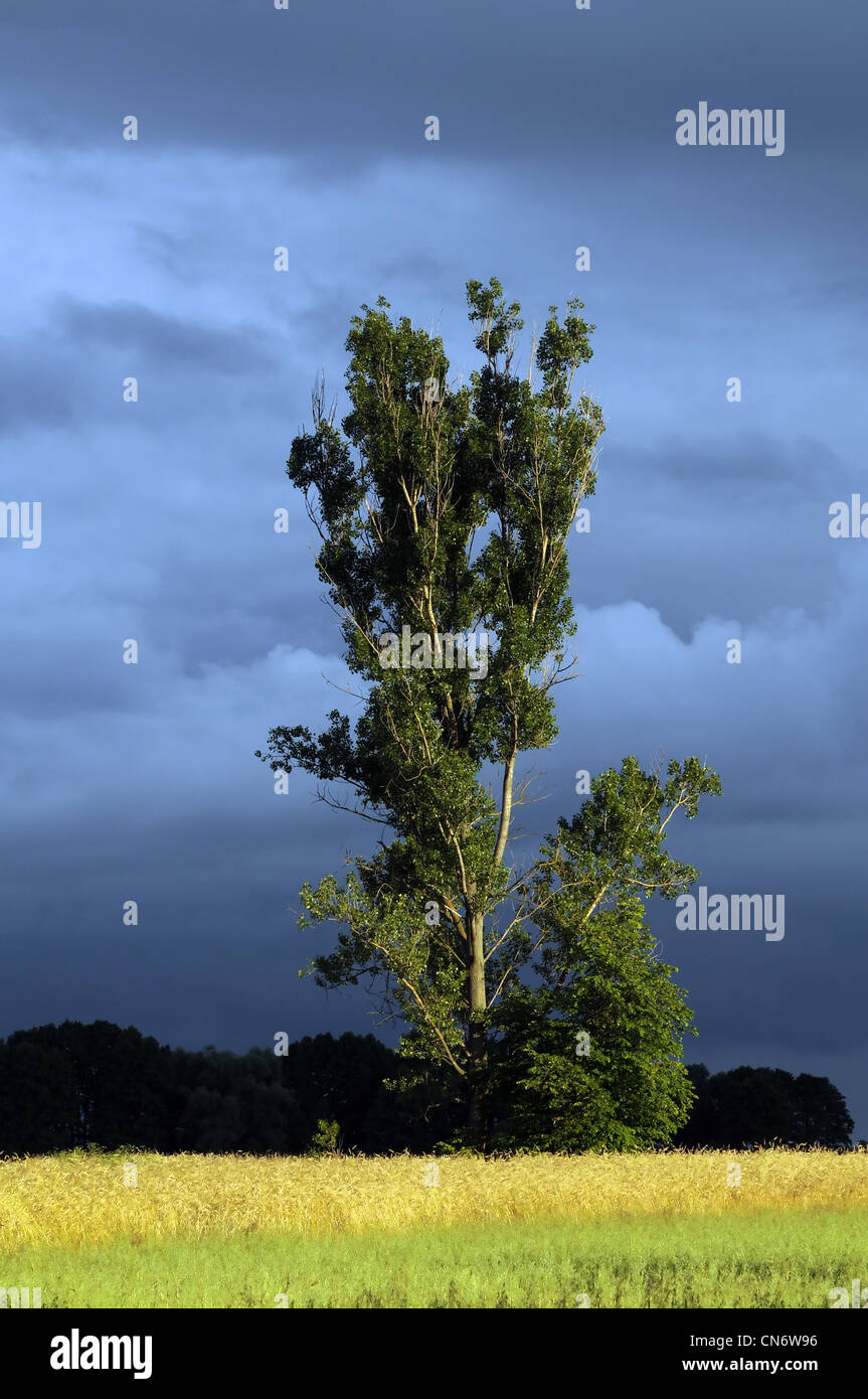 Mazowsze region hi-res stock photography and images - Alamy