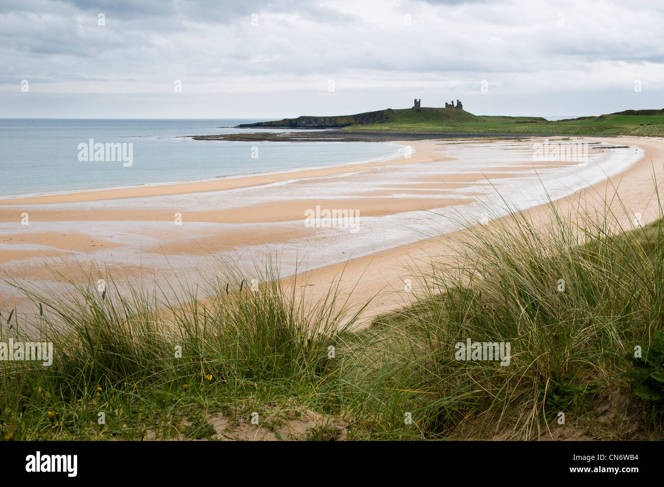 The sweep of beach around dunstanburgh bay with the ruined castle far ...