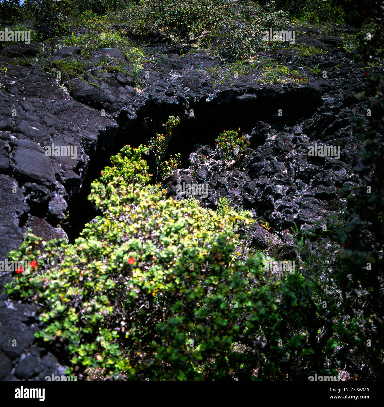 A deep black crevasse in lava crust Hawaii Stock Photo - Alamy